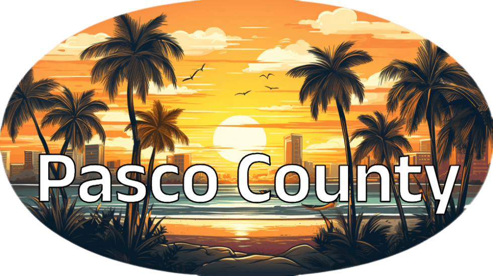 Pasco County, Fl - City Data, History + Tips [Upd. 2025]